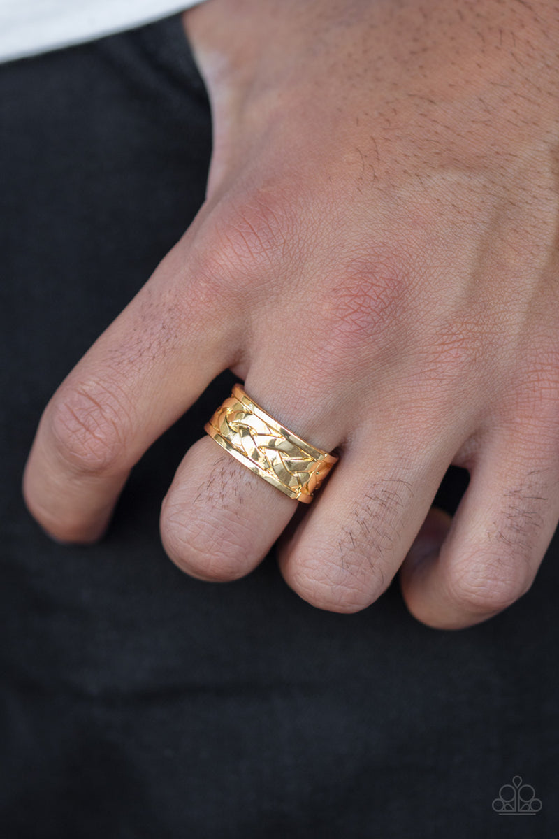 Game Over - Gold Men's Ring – Sugar Bee Bling - Paparazzi Jewelry and ...